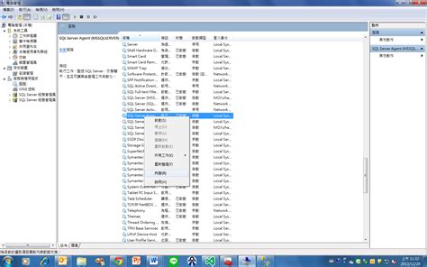 Williams Book Sql Server 無法從sql Server組態管理員開啟sql Server Agent及sql