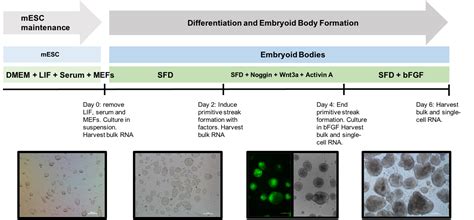 ScRNAseq Analysis Part Cscb Documentation