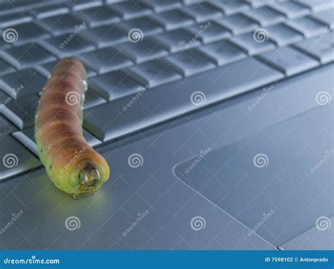 Computer Bug Stock Photography Image