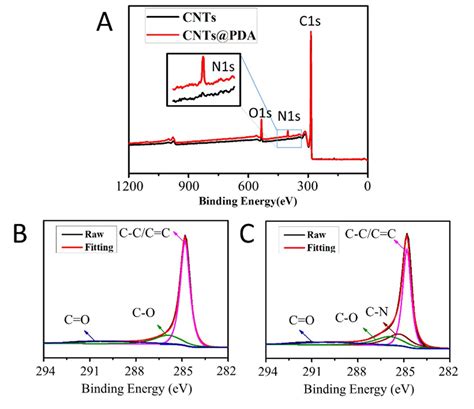 Preparation And Characterization Of Polydopamine Modified Nicarbon