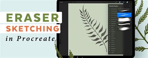 How To Use The Eraser Tool For Sketching In Procreate — Procreate Digital Art And Pattern Design