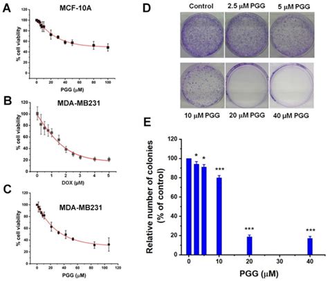 Pentagalloyl Glucose From Bouea Macrophylla Suppresses The Epithelial Mesenchymal Transition And