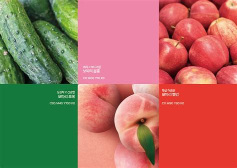 가상브랜드 열매보따리 브랜드경험디자인2디자인 브랜드 디자인·가이드 포트폴리오 크몽