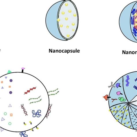 1 Schematic Illustration Of Nanoparticles Used For Gene Therapy
