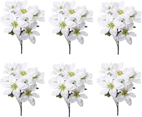 Qué Tipos Características Y Ejemplos De Reproducción Asexual En Plantas