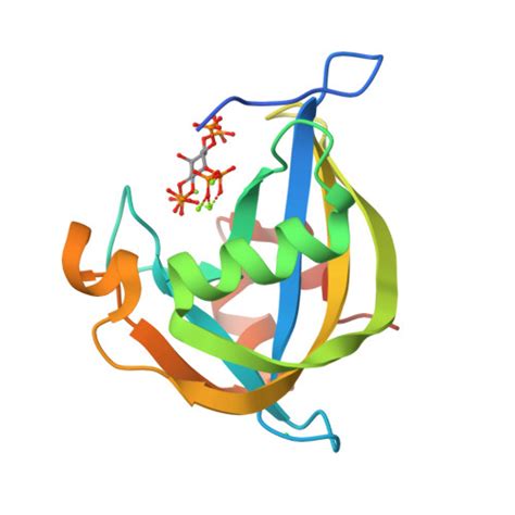 Rcsb Pdb 8tfa Diphosphoinositol Polyphosphate Phosphohydrolase 1