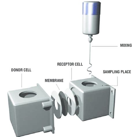 The Schematic Representation Of Fluid Fluid Diffusion Cell Download Scientific Diagram