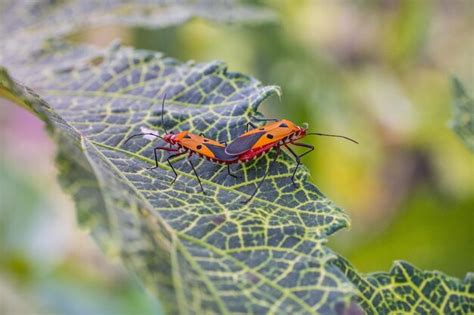 Premium Photo Threads Of Unity And Solidarity World Cotton Days