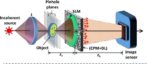 Figure 1 From Non Linear Adaptive Three Dimensional Imaging With