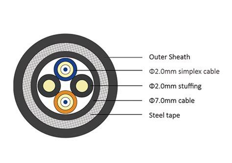 2f 100mm Sm Lszh Uv Ftta Cpri Cable Abalone