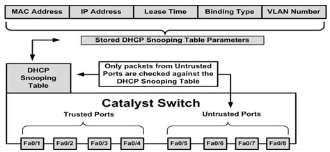 DHCP Snooping Howtonetwork Com