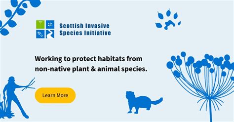 River Tay Scottish Invasive Species Initiative Sisi