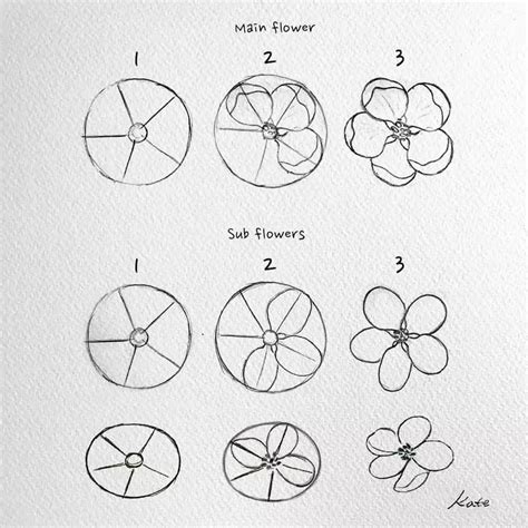 Flower Drawing Tutorials Flower Drawing Draw Flowers Watercolor