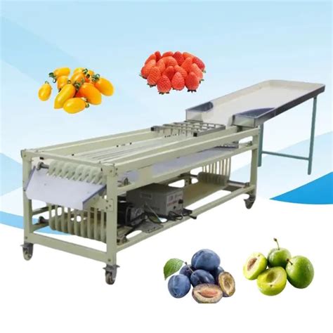Automatic Fruit And Vegetable Size Sorting Grading Machine Potato Sorting Machine Vegetable