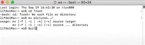 2023 Answer How To Recover Deleted Files With Mac Terminal