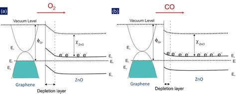 Schematic Energy Diagram Of Graphenezno Heterostructure A Before And