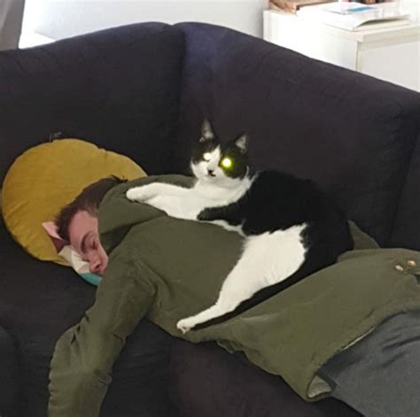 Bro I Already Have Code Gaiden And Got It 2x In A Row 😭😭💀 R Shindo Life