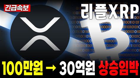리플 전망 엑스알피 100만원이 30억원되는 폭등임 리플코인대응 엑스알피 리플 Xrp Sec 리플소송 코인투자플래닛 갈링하우스 Rlusd 리플스테이블