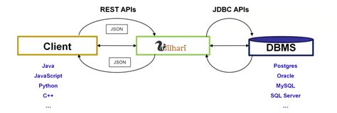 Gilhari Microservice Streamlines Json Data Transfer With Relational Databases On Aws By Vishal