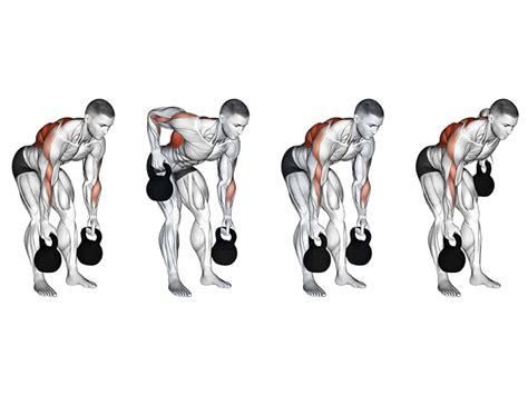 How To Do Gorilla Rows Muscles Worked And Common Mistakes To Avoid