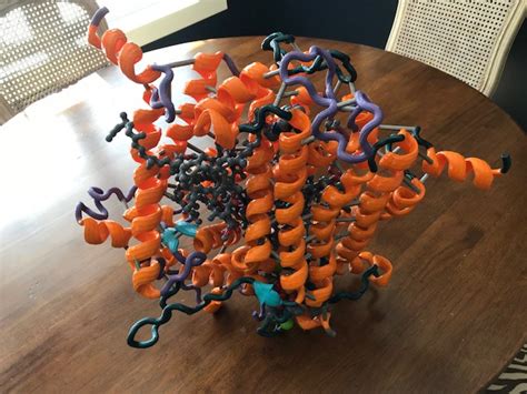 3d Printing And Molecular Models Barney Bioproducts Lab