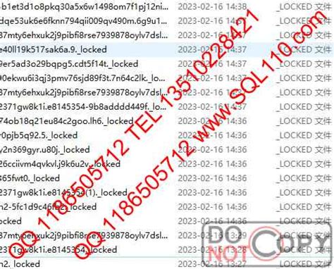 locked勒索病毒解密 服务器中毒解密 locked 数据库中勒索病毒解密恢复 locked
