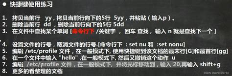 vim编程 csdn博客