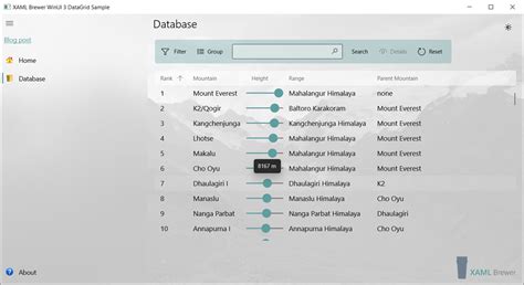 Winui 3 Xaml Brewer By Diederik Krols Page 2