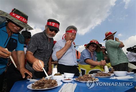 재작년에 있었던 복날 개고기 반대 시위 인스티즈 Instiz 이슈 카테고리