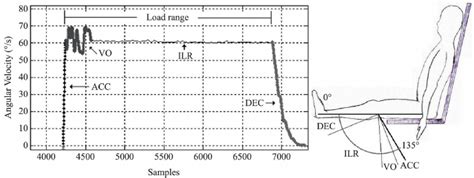 The Angular Velocity Signal With The Respective Phases Of The Download Scientific Diagram