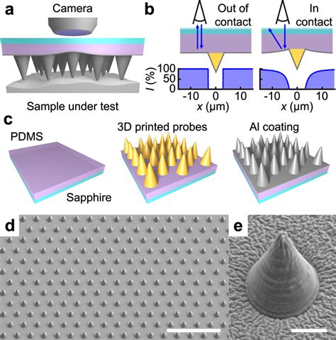 Cantilever Free Atomic Force Microscopy A Scheme Of The Experimental Download Scientific