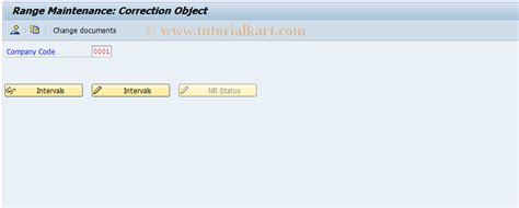 REITTCNO SAP Tcode Number Range Maintenance REITTC Transaction Code