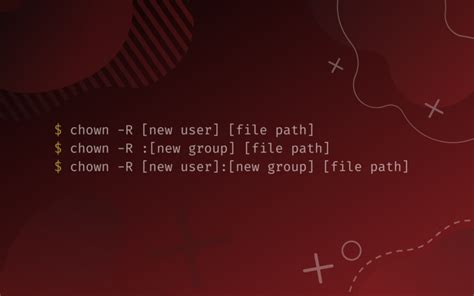How To Chown Recursively In Linux Bytexd