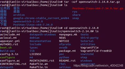 ubuntu下安装部署openvswitch和一些安装的异常处理（ovs安装） openvswitch报错 ru csdn博客