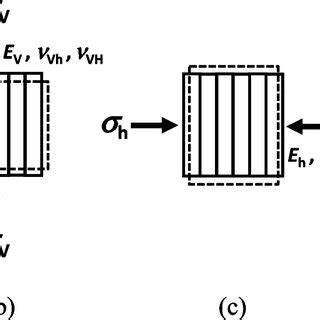 Compression Test Data Of Vertical And Horizontal Babes Moduli In Download Scientific Diagram