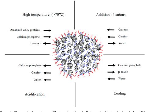 Figure 1 From Unravelling Conformational Aspects Of Milk Protein