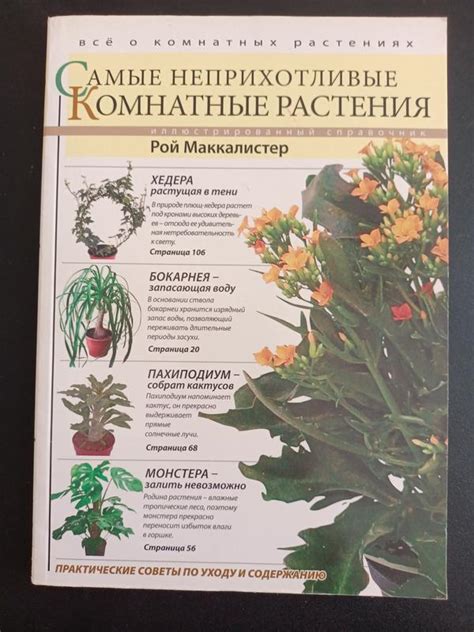 Самые неприхотливые комнатные растения — ціна 499 грн у каталозі Дім та