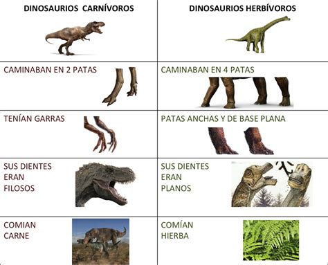 Dinosaurios Herbivoros Y Carnivoros Seonegativo Com My Xxx Hot Girl