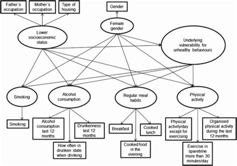 Hypothesised Path Model A Hypothesised Path Model Of An Underlying