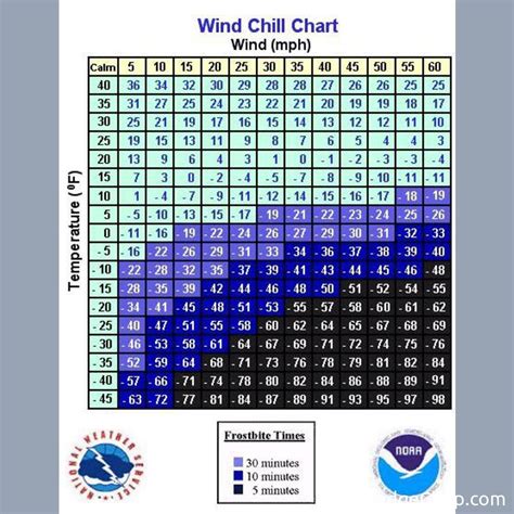How Temperature F And Wind Speed Interact 🥷 Knowledge Ninja