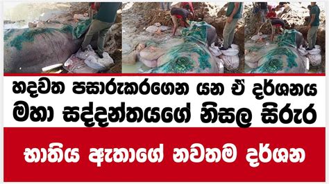 හදවත පසාරුකරගෙන යන ඒ දර්ශනය මහා සද්දන්තයගේ නිසල සිරුර භාතිය ඇතාගේ නවතම දර්ශන Youtube