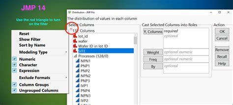 How Do I Filter The List Of Columns In A Launch Dialog Jmp User