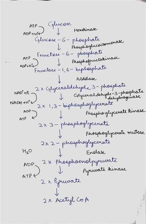 Emp Pathway Full Form What Is The Full Form Of Emp