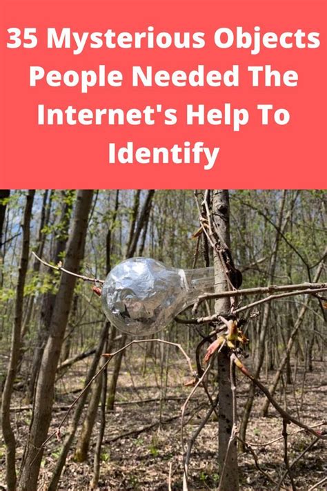 35 Mysterious Objects People Needed The Internets Help To Identify In 2022 Mystery Helpful