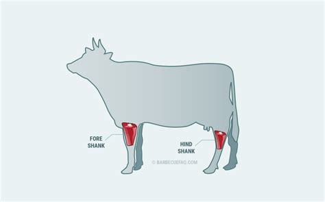 Primal Cuts Of Beef Subprimal And Secondary Cuts Explained Barbecue Faq