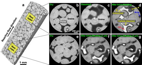 Dissolution And Oil Brine Injection A Three Dimensional