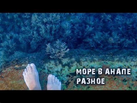 Каменный пляж Голые люди Подводный мир И какой вечер YouTube