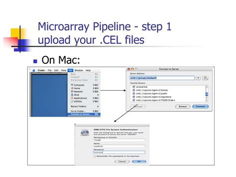 ppt microarray data analysis powerpoint presentation free download