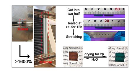 Efficient Room Temperature Self Healing Polyurethane Elastomers With Superior Tensile