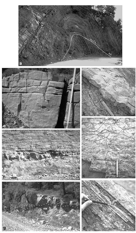 Figure 6 Facies Architecture And Depositional Evolution Of